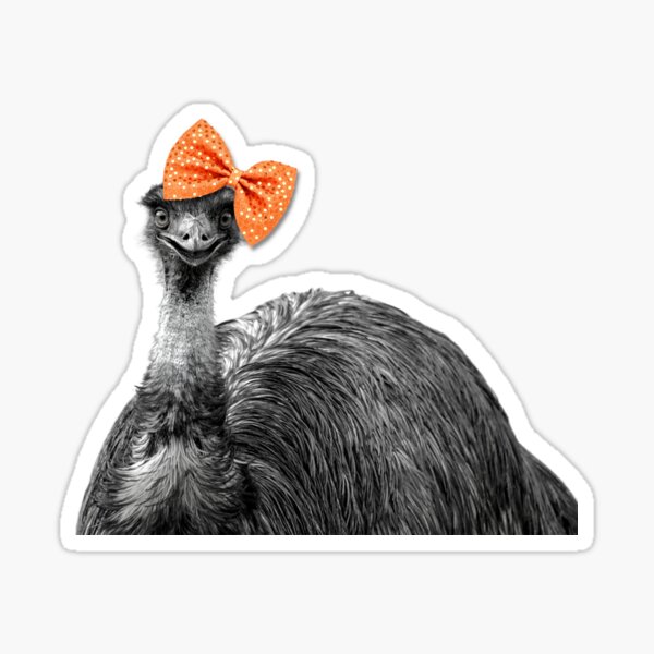 Sticker « Emu with Bowtie Artwork - Baby animal Prints, Animals with ...