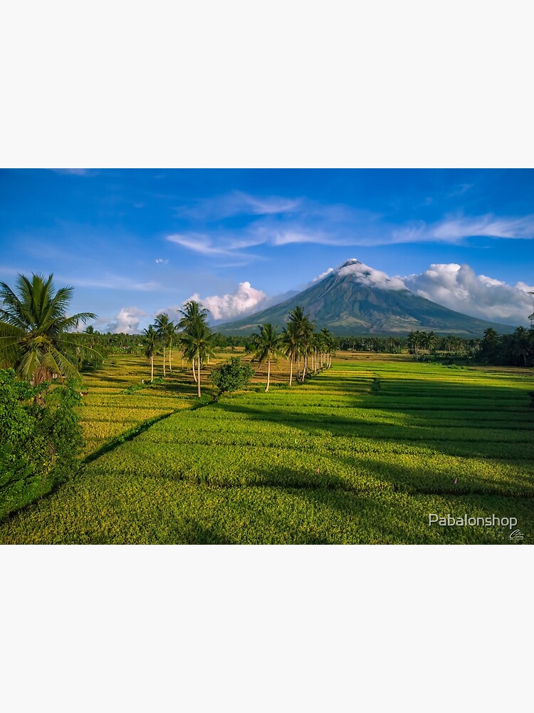 "Mayon Volcano with Rice field and coconut tree" Poster by Pabalonshop ...