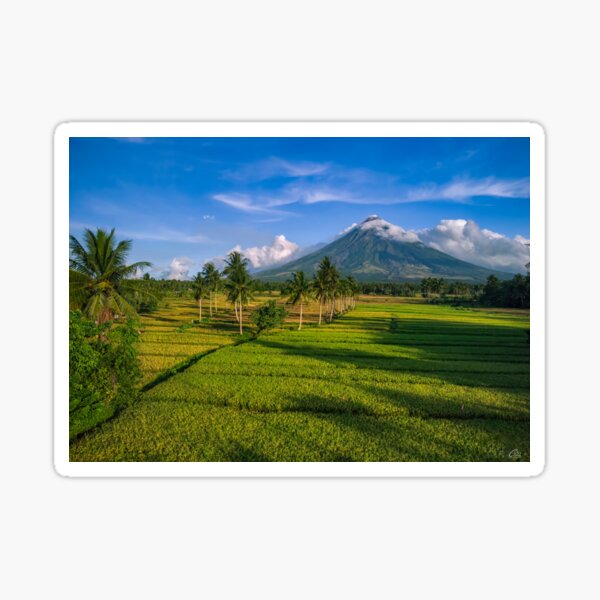 "Mayon Volcano with Rice field and coconut tree" Sticker for Sale by ...
