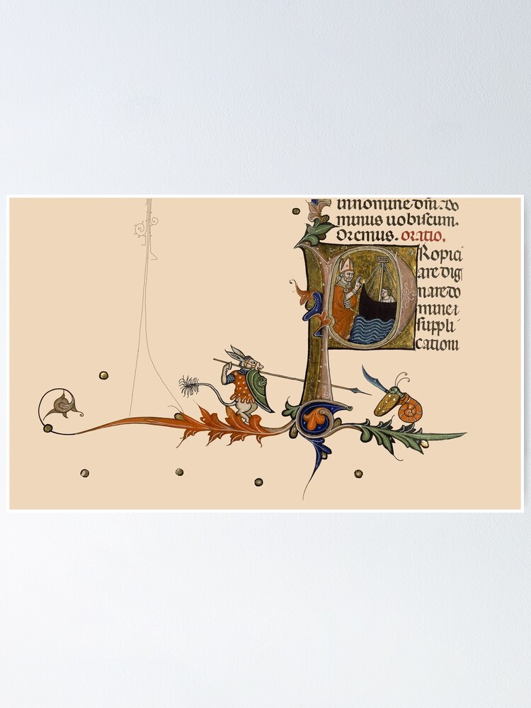 "Medieval Killer Snail vs Donkey" Poster for Sale by ebrawne | Redbubble