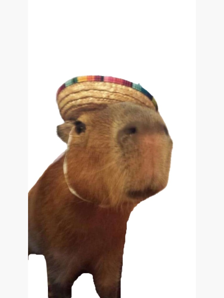 "Meme - Funny Mexican Capybara" Poster for Sale by DogMemeCentral ...