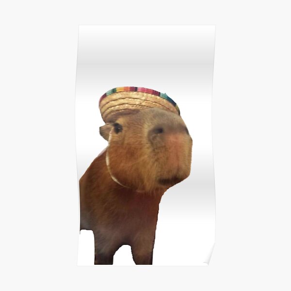 "Meme - Funny Mexican Capybara" Poster for Sale by DogMemeCentral ...
