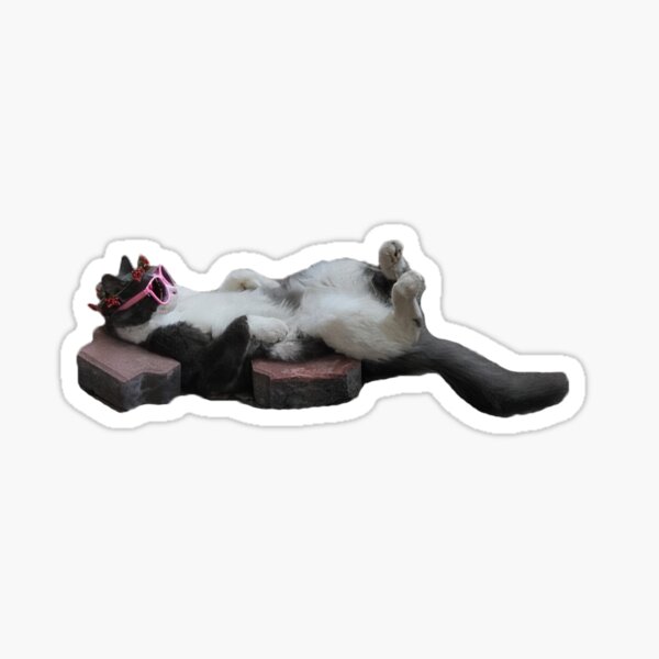 "cat vibing meme" Sticker by summercakes | Redbubble