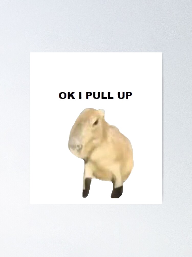 "Meme - OK I PULL UP Capybara" Poster for Sale by DogMemeCentral ...