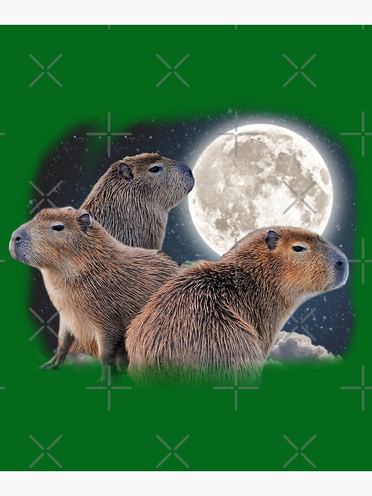"Three Capybaras and Moon Funny Capybara Humor Parody " Poster by ...