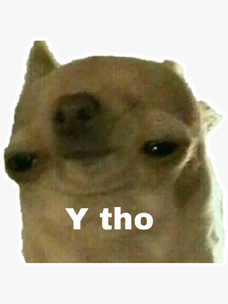 "Persian Cat Meme Sticker, meme stickers, Laptop Stickers, VSCO ...