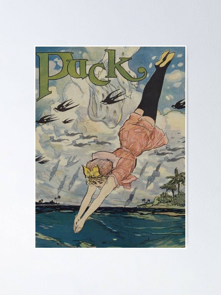 "Pucking DIve" Poster for Sale by designdome | Redbubble