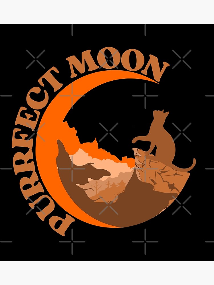 Póster «LUNA PERFECTA - Imágenes divertidas de gatos con refranes y ...