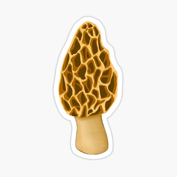 "Morel mushroom " Sticker by WaterBaluga | Redbubble