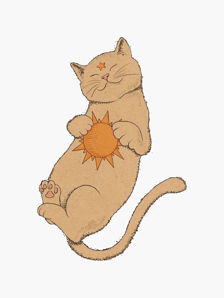 "sun cat transparent" Sticker for Sale by alicelilias-06 | Redbubble