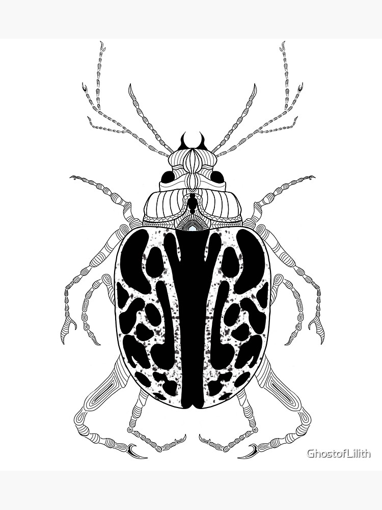 "Midnight Beetle linework" Sticker by GhostofLilith | Redbubble