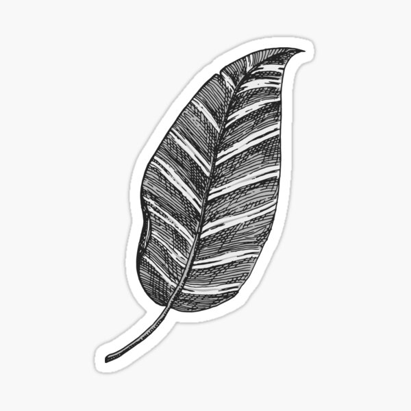 "Engraved hand drawn vintage leaf" Sticker by victhore | Redbubble