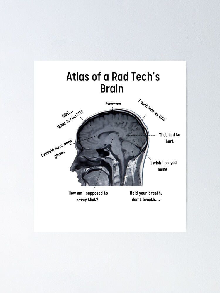 "Anatomy of a Rad Techs Brain" Poster for Sale by RadRaysShop | Redbubble