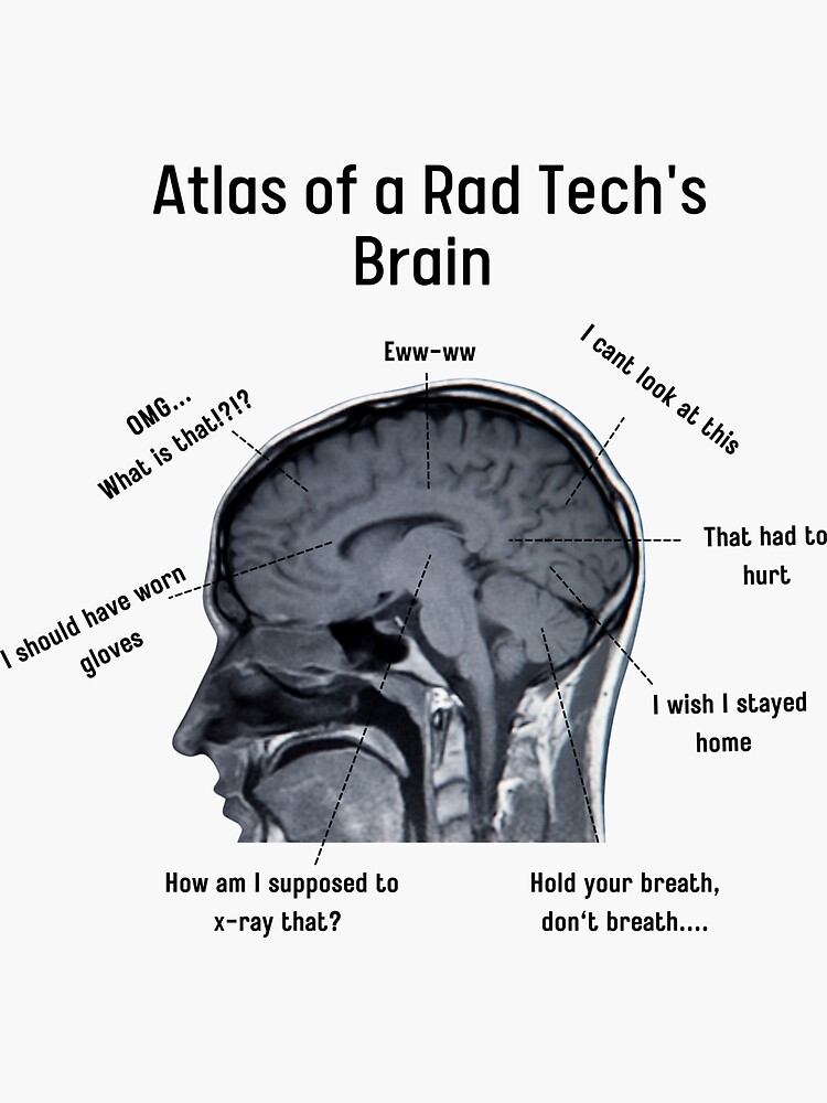 "Anatomy of a Rad Techs Brain" Sticker for Sale by RadRaysShop | Redbubble
