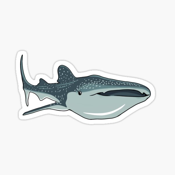 "Whale Shark Sticker" Sticker for Sale by ranakraft | Redbubble