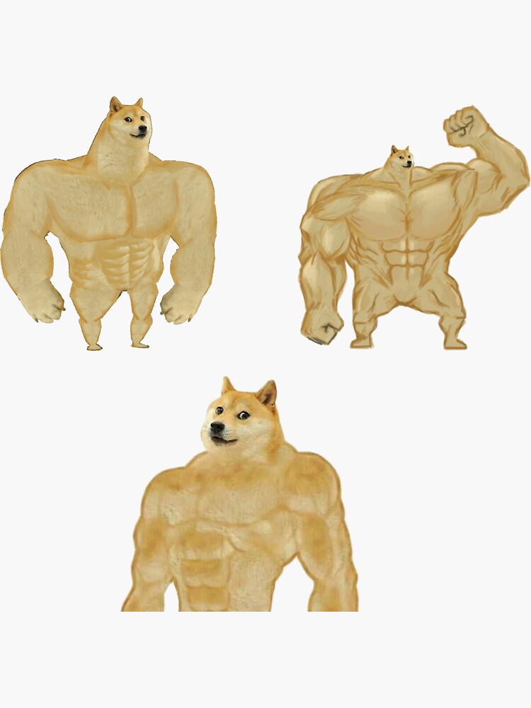 Pegatina «paquete de pegatinas de meme doge muscular-meme doge swole ...