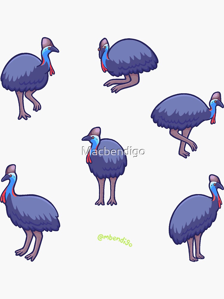"Coolest Cassowary " Sticker for Sale by Macbendigo | Redbubble