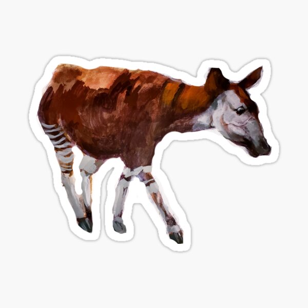 "Okapi" Sticker for Sale by SillyRooster | Redbubble
