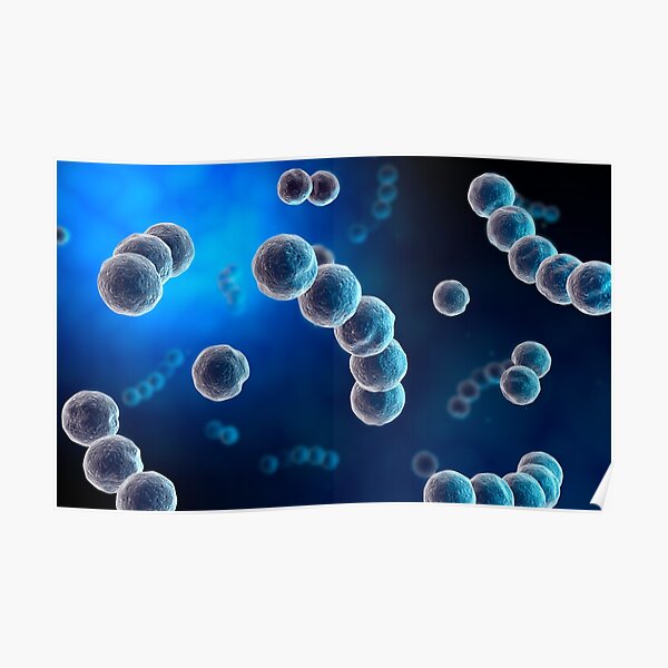 "Microscopic view of streptococcus." Poster for Sale by StocktrekImages ...