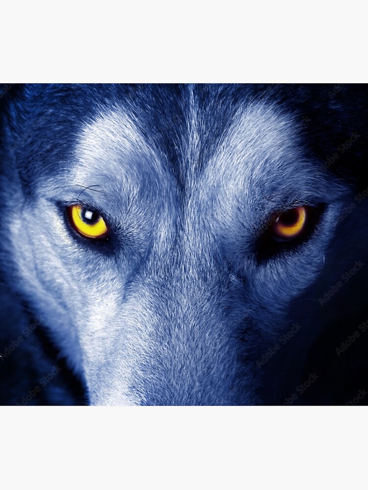 "black wolf" Sticker by jucaramaraia | Redbubble