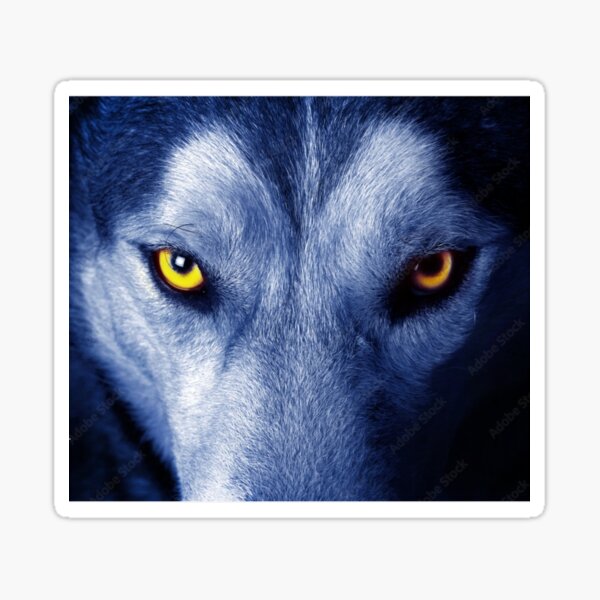 "black wolf" Sticker by jucaramaraia | Redbubble