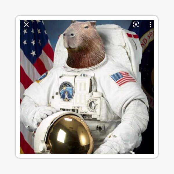 "space capybara" Sticker by Banime | Redbubble