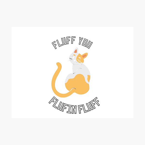 Lámina fotográfica «CAT fluff you fluffin you,,,,,,,,, fluff You You ...