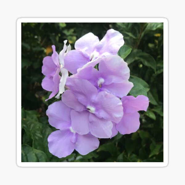 "Yesterday Today and Tomorrow " Sticker for Sale by MPALVAREZ | Redbubble