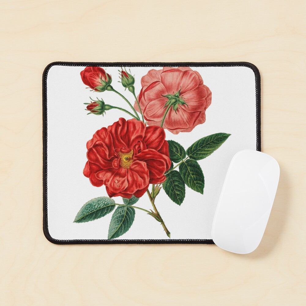 "Vintage Red rose Flowers Floral" Sticker for Sale by Zipzadoo | Redbubble