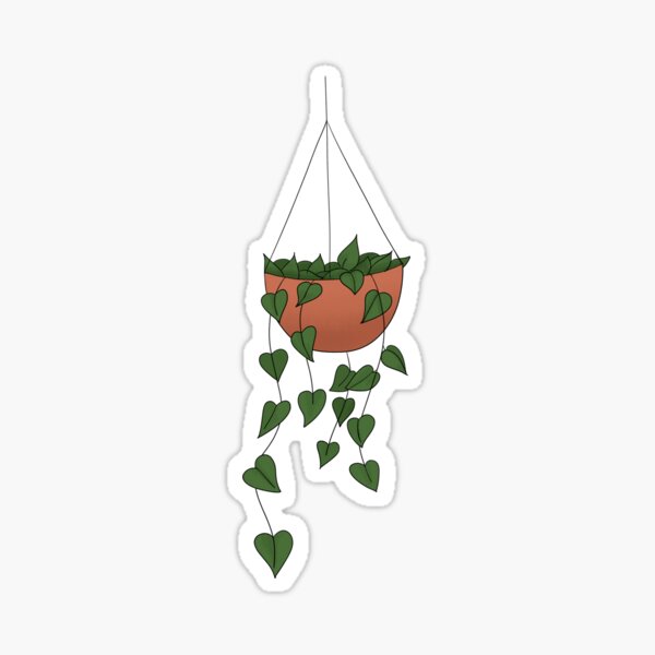 "Hanging Vine Plant " Sticker for Sale by CaptinAubs | Redbubble