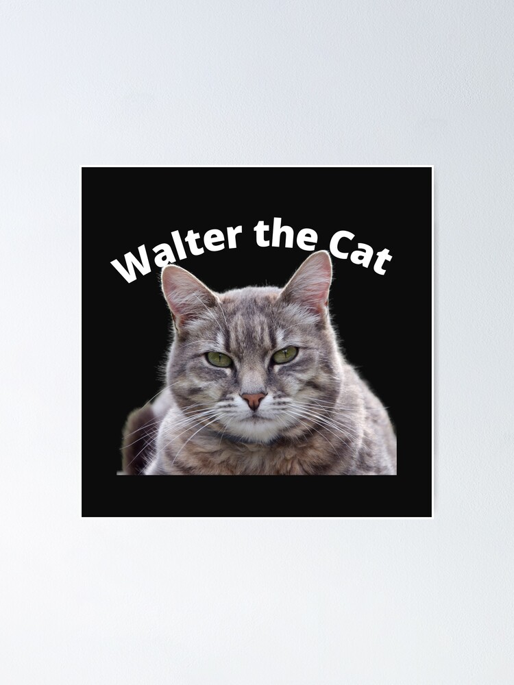 "Walter The Cat" Poster for Sale by sojasquest2 | Redbubble