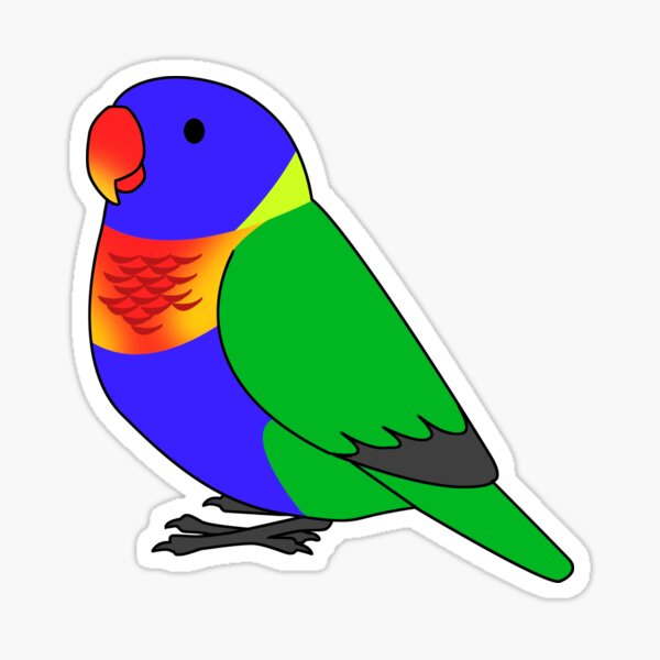 "Rainbow lorikeet parrot cartoon drawing" Sticker for Sale by ...