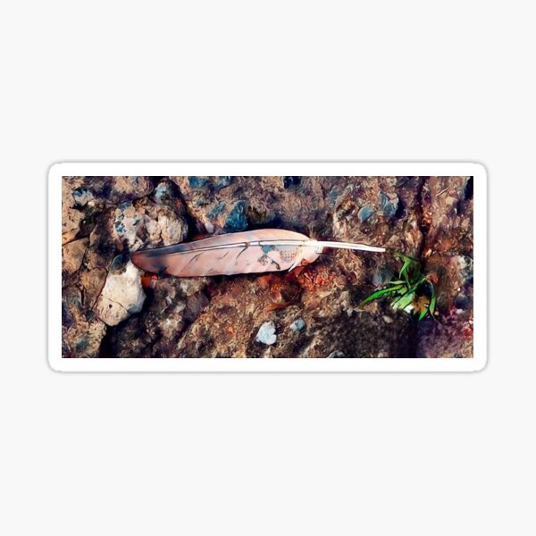 "Pity" Sticker by HieiGerman0 | Redbubble