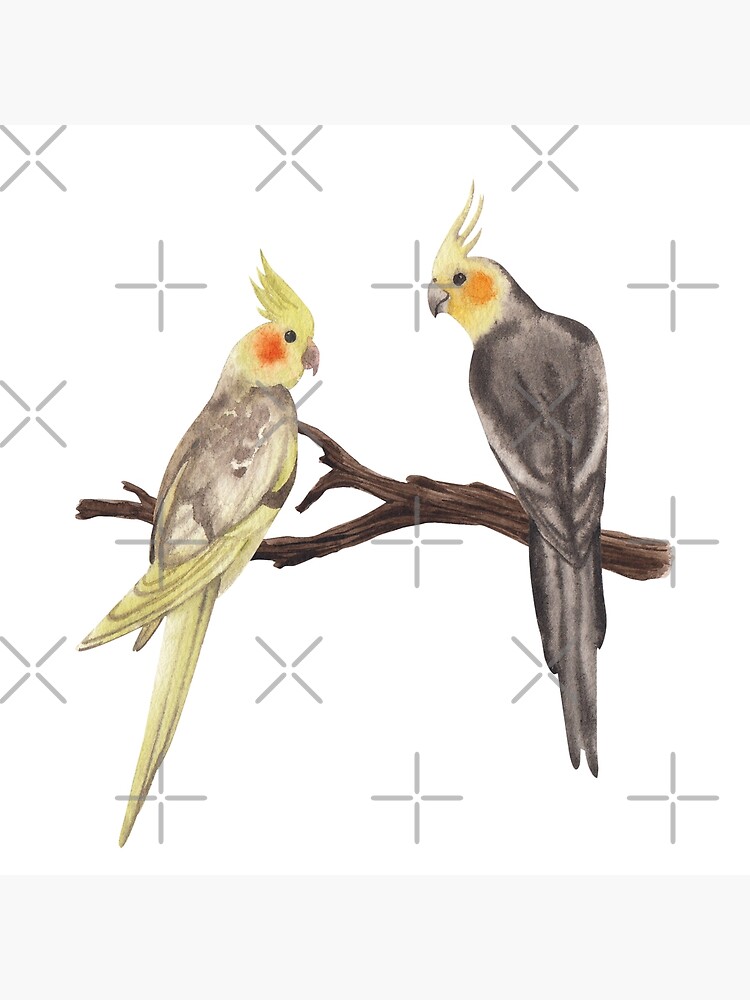 Poster « Illustration de la Saint-Valentin à l'aquarelle : couple de ...