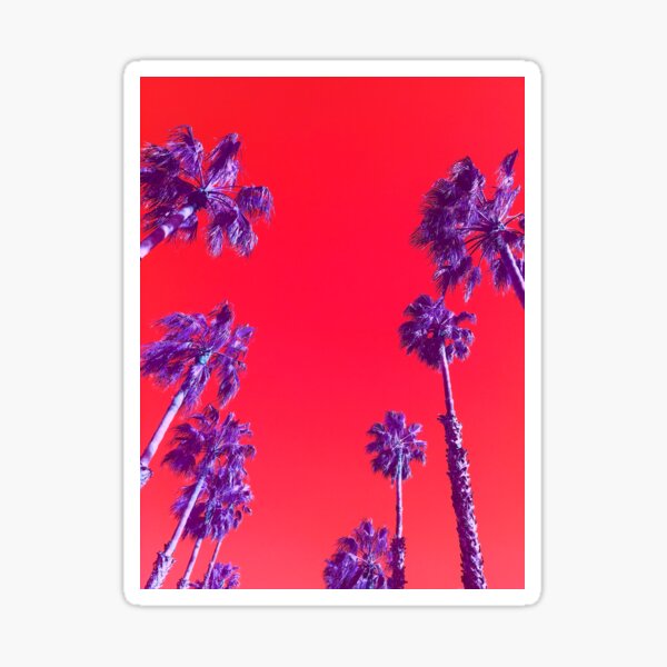 "Infrared Palm Trees" Sticker for Sale by infraredmotel | Redbubble