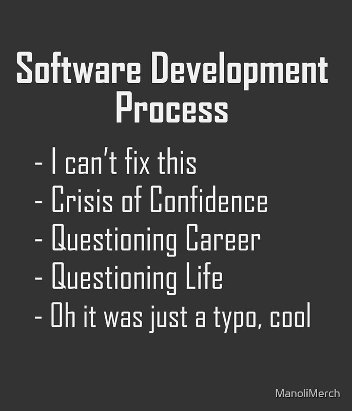 Software Developer: Posters | Redbubble