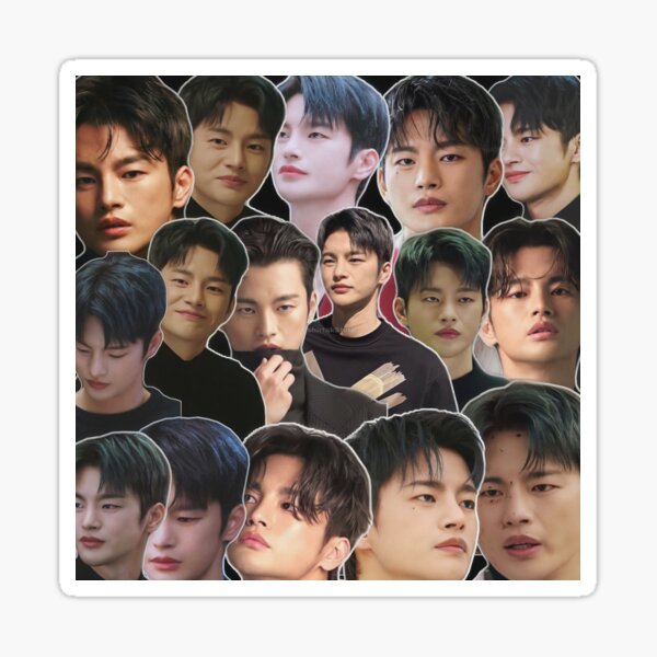 "seo in-guk photo collage" Sticker for Sale by T-shirtakStore | Redbubble