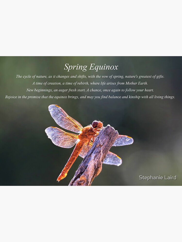 "Spring Equinox Blessing with Dragonfly" Sticker by LazyL | Redbubble