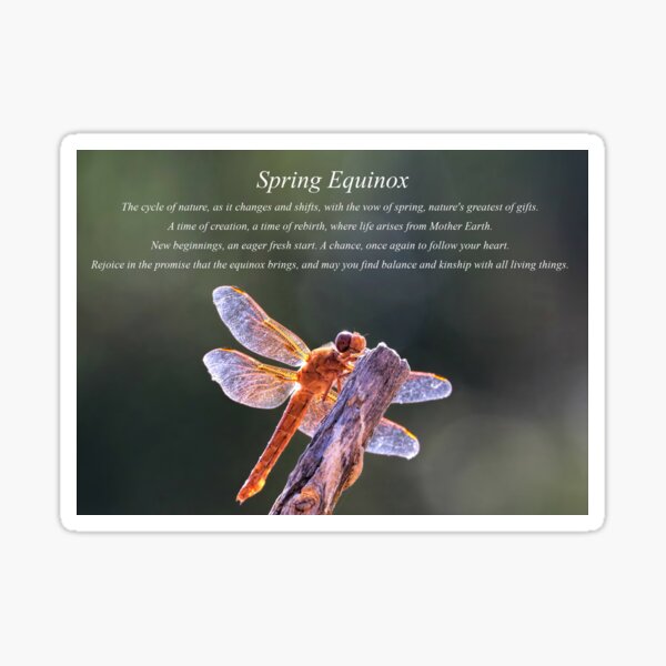 "Spring Equinox Blessing with Dragonfly" Sticker by LazyL | Redbubble