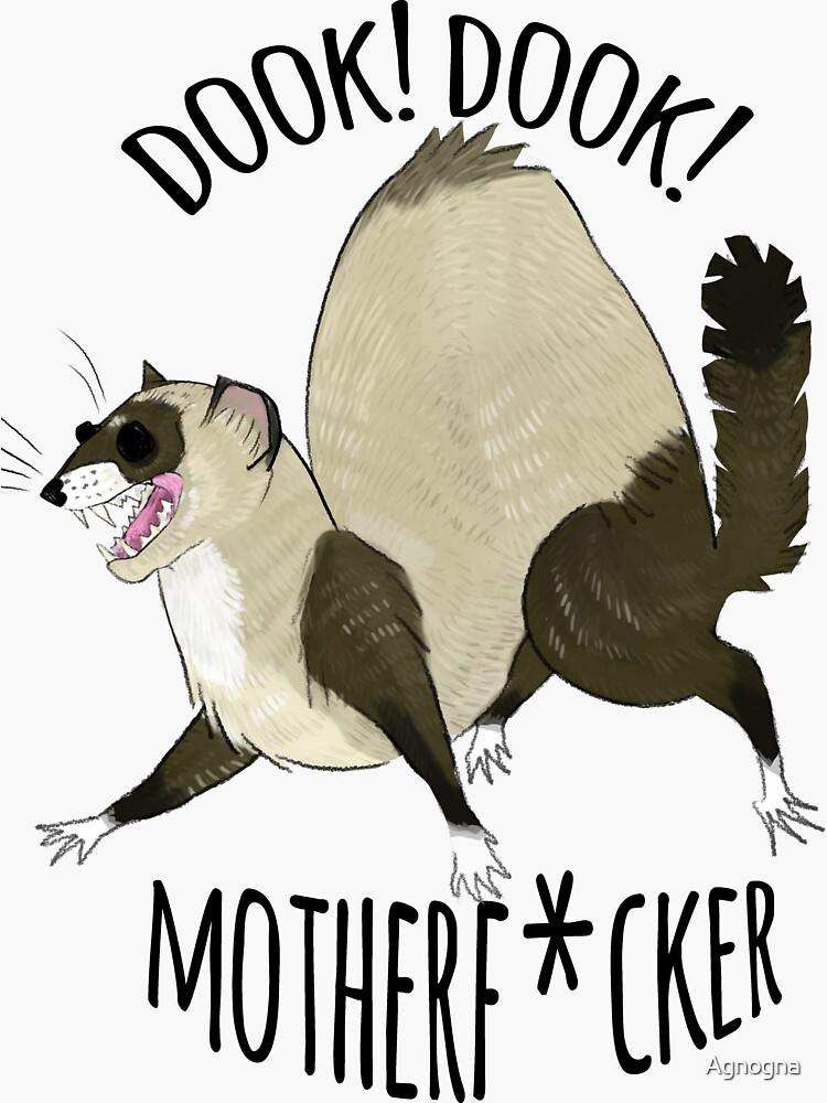 "DOOK! DOOK! sable mitt ferret" Sticker for Sale by Agnogna | Redbubble