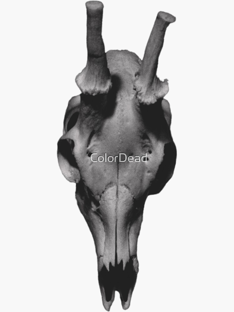 "OBSERVER" Sticker by ColorDead | Redbubble