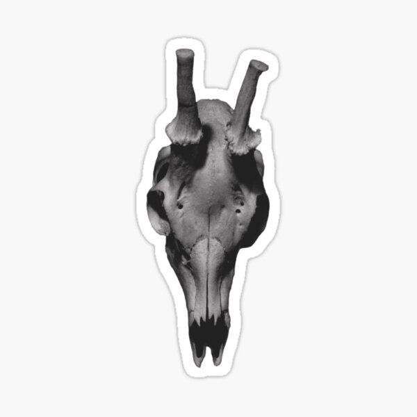 "OBSERVER" Sticker by ColorDead | Redbubble