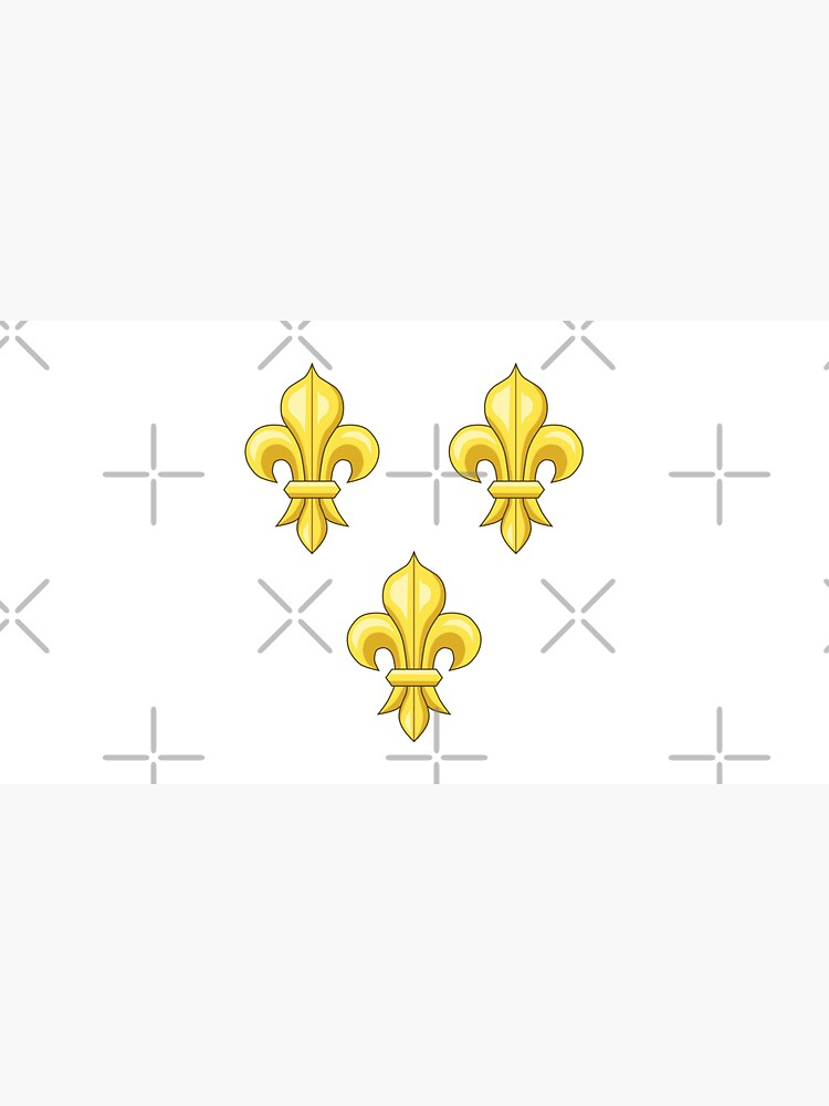 "Blason France moderne French royal golden yellow fleur de lys lis blue ...