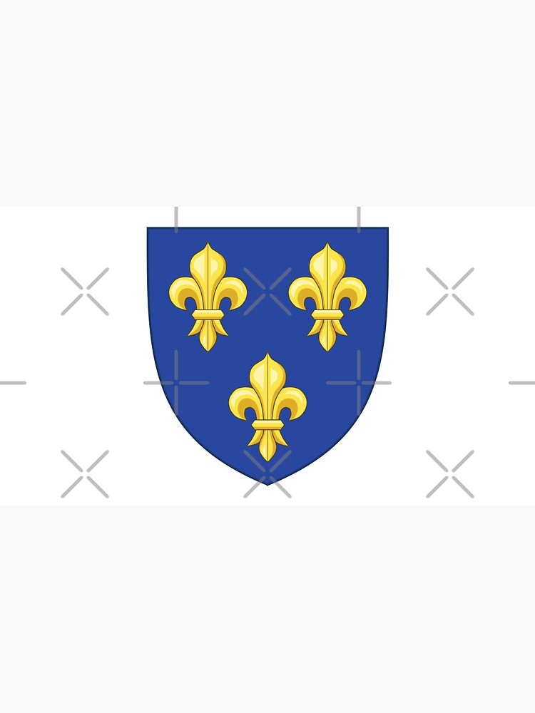 "Blason France moderne French royal golden yellow fleur de lys lis blue ...