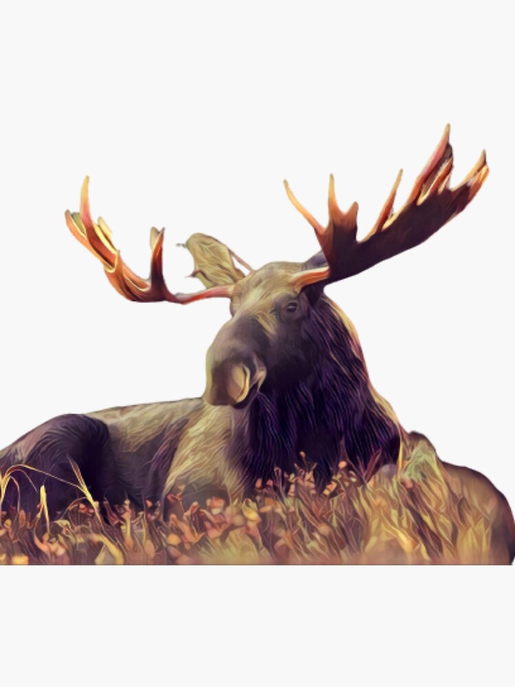 "Moosing Around" Sticker by kirkandanali | Redbubble