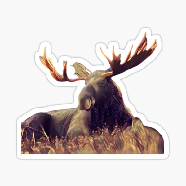 "Moosing Around" Sticker by kirkandanali | Redbubble