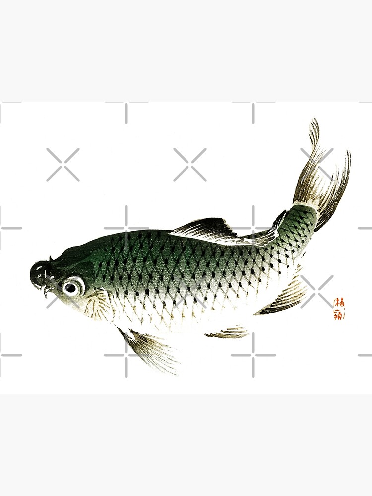 "Carp - Traditional Japanese Art" Poster for Sale by LimeLiss | Redbubble