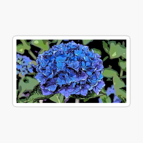 "HYDRANGEA HUES" Sticker by Fzorbinjr58 | Redbubble