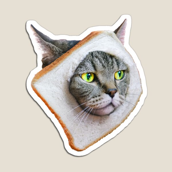 Imán «camiseta amante de los gatos - tostada divertida del gato - meme ...