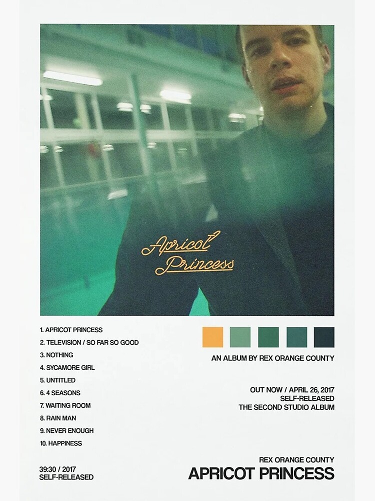 "Rex Orange County Album Cover Poster" Poster by enympyto | Redbubble